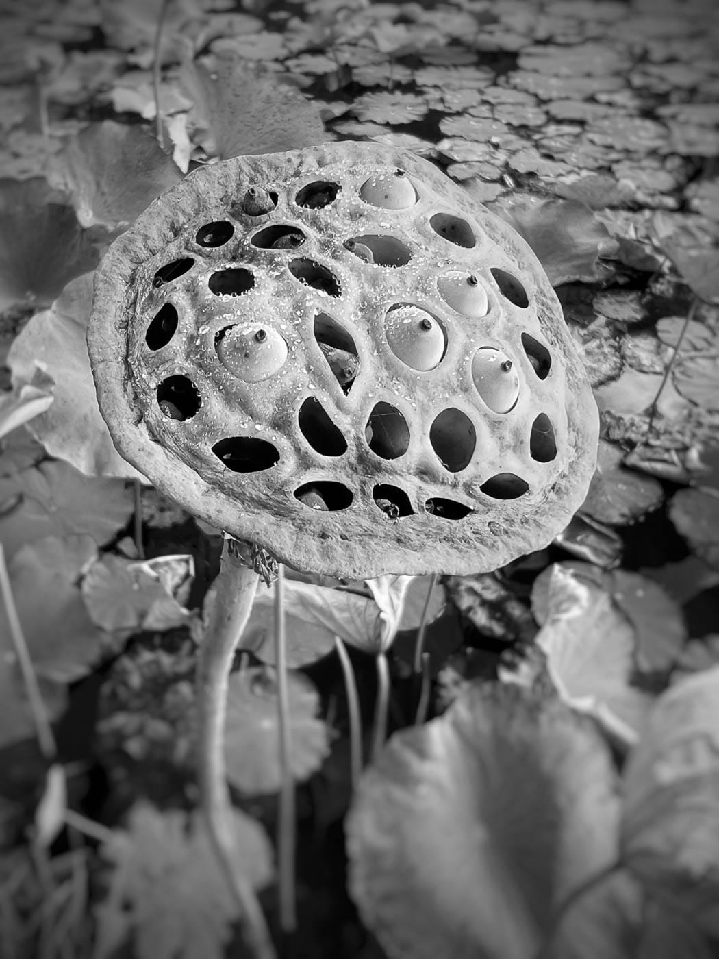 2023 Digital Images of the Year Awards – General and Monochrome ...