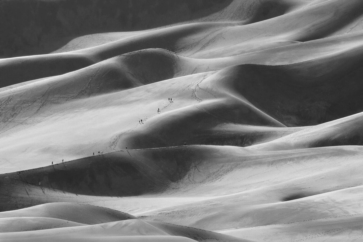 2023 Digital Images of the Year Awards – General and Monochrome ...